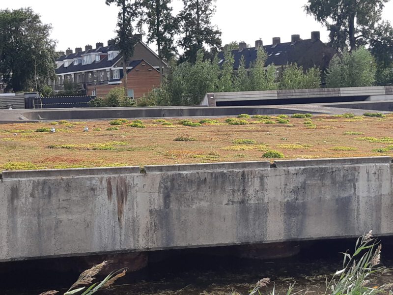 Alles over groene daken | Goed Leiderdorp